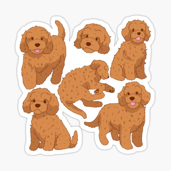 "Cute cavapoo dog pattern " Sticker for Sale by Yaragold | Redbubble