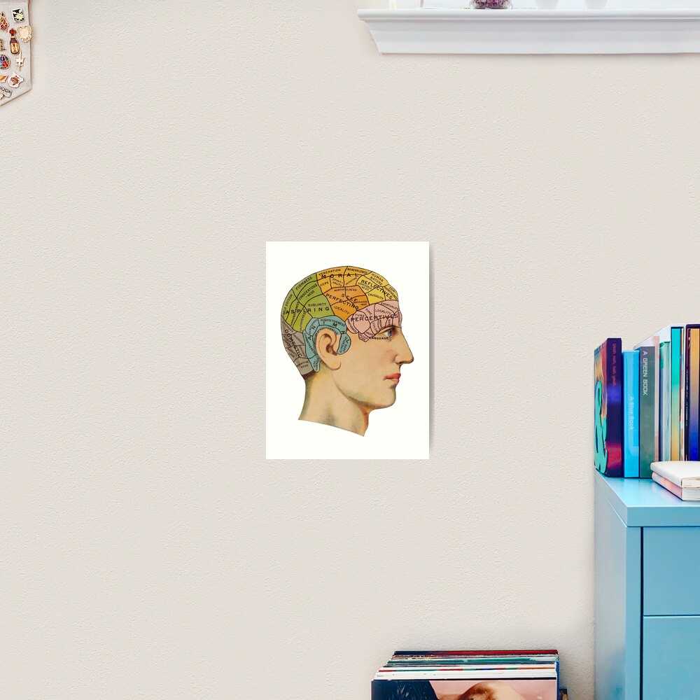 "Phrenology Chart" Art Print by VASSdesign | Redbubble