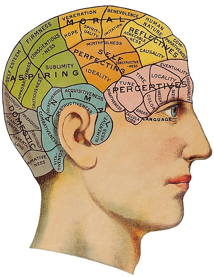 "Phrenology Chart" Posters by VASSdesign | Redbubble