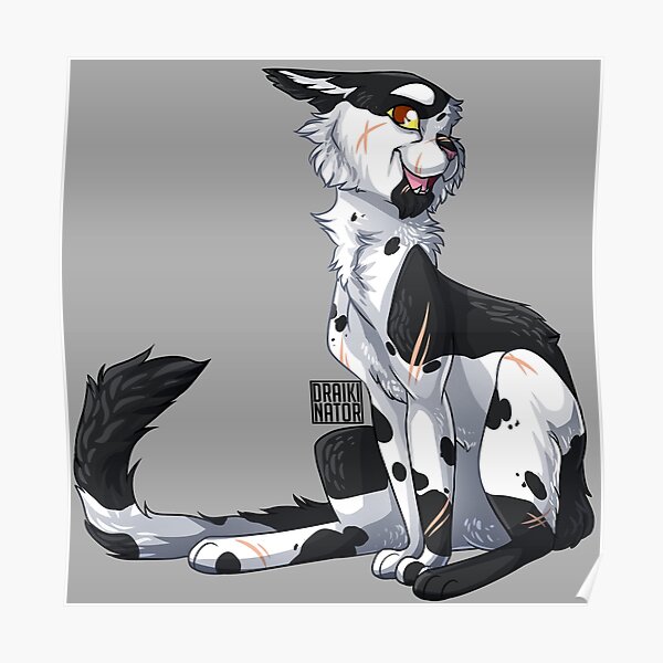 "Patchpelt" Poster for Sale by Draikinator | Redbubble