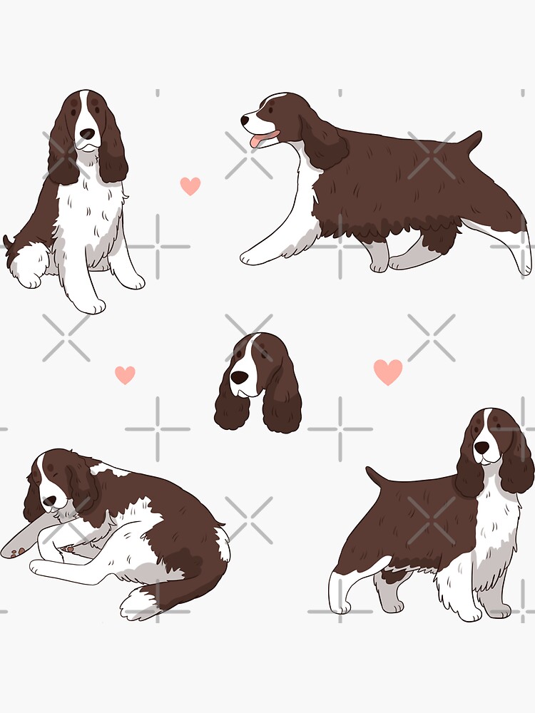 "Cute english springer spaniel pack" Sticker for Sale by Yaragold ...