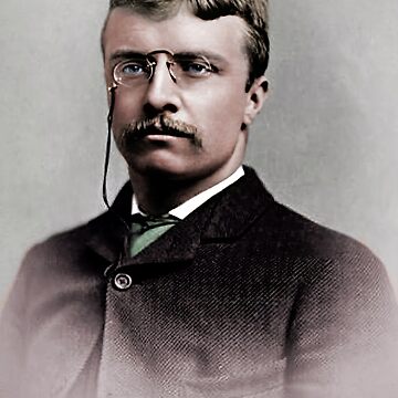 "Young Theodore Roosevelt" Art Print for Sale by PatSeg | Redbubble