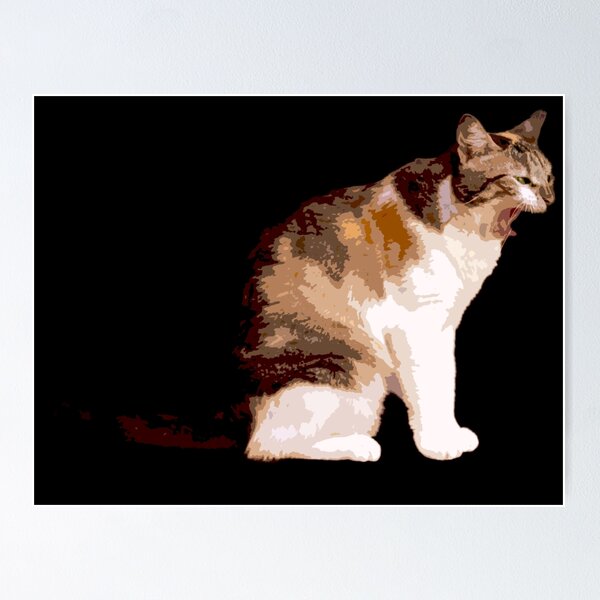 " pussy gaping" Poster by ricobarinas | Redbubble