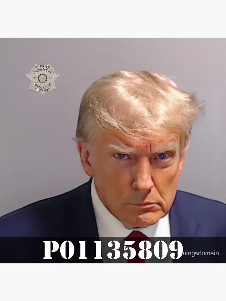 "Donald Trump Mugshot P01135809" Sticker for Sale by wingsdomain ...