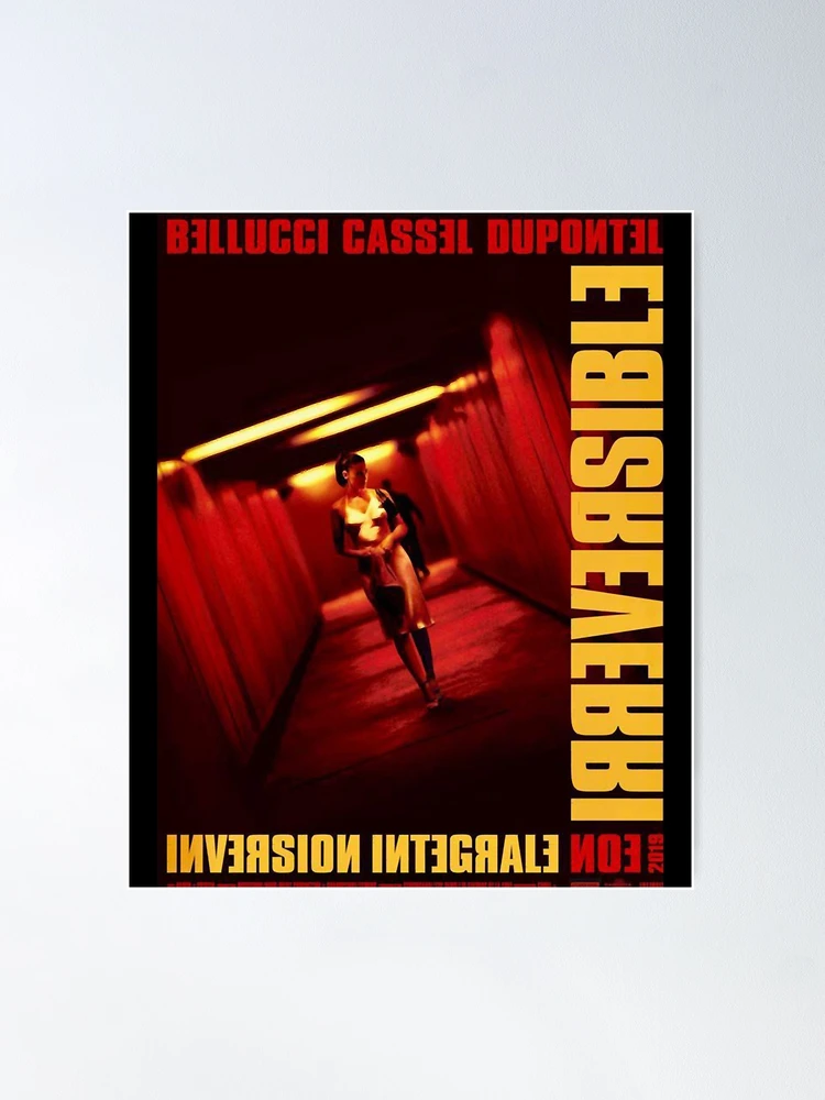 Poster Do Filme Irreversivel