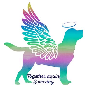 "Labrador Retriever Angel Wings Rainbow Bridge Pet Loss keepsakes ...