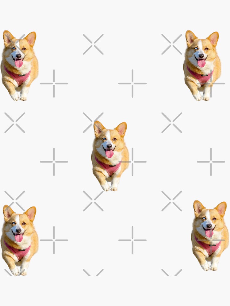 "Dog Sticker Pack" Sticker for Sale by StylizedExpress | Redbubble