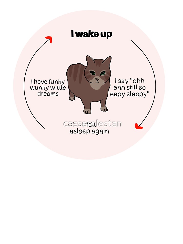 Waking Up Meme Cat
