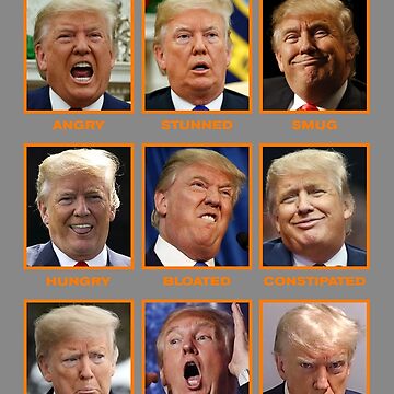 "Expressions Of Trump (3a)" Sticker for Sale by PassiveCanuck | Redbubble