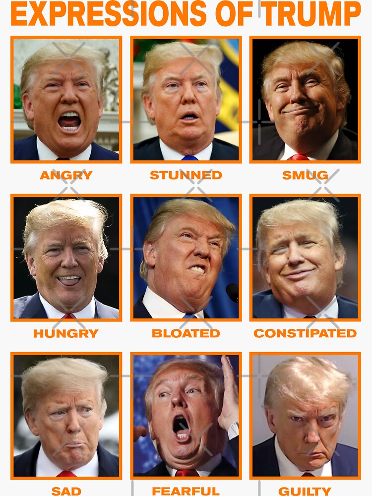 "Expressions Of Trump (3a)" Sticker for Sale by PassiveCanuck | Redbubble