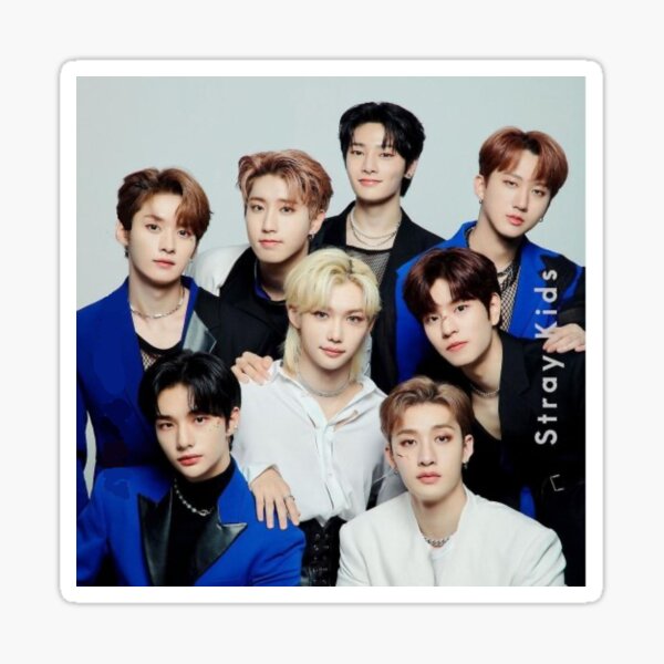 "Stray Kids SKZ ot8 poster Kpop boy Group Members " Sticker for Sale by ...
