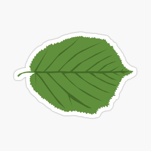 "Hazel leaves" Sticker for Sale by chihuahuashower | Redbubble