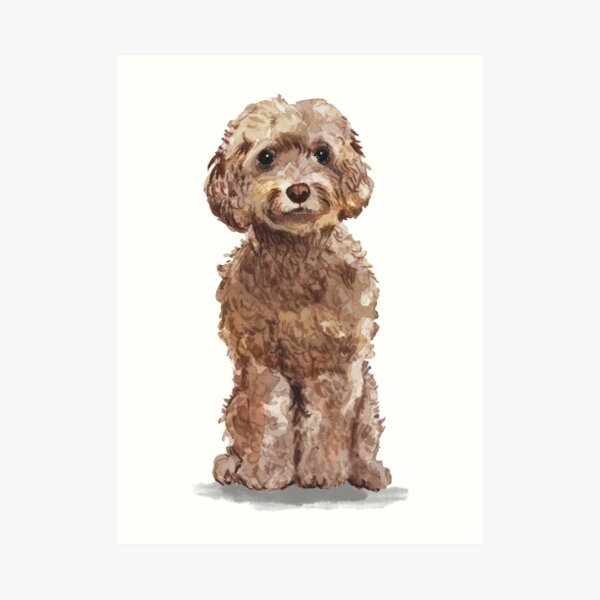 Cockapoo Art Prints | Redbubble