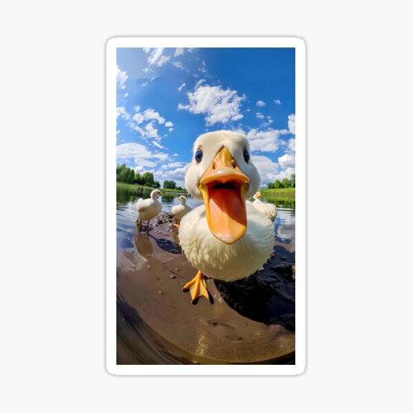 Sticker avec l'œuvre « canard drôle » de l'artiste ArtisticVlad | Redbubble