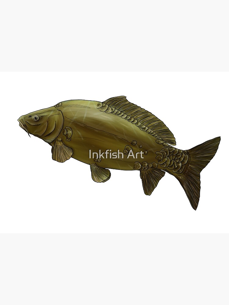 "Mirror carp 1" Art Print for Sale by slashgrafik | Redbubble