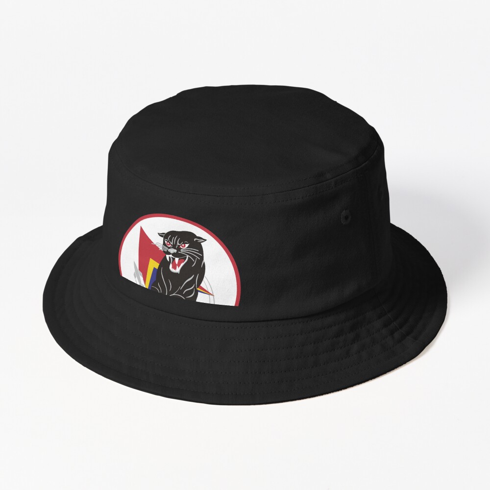 "494th Fighter Squadron Logo" Sticker for Sale by KyleGreenholt | Redbubble