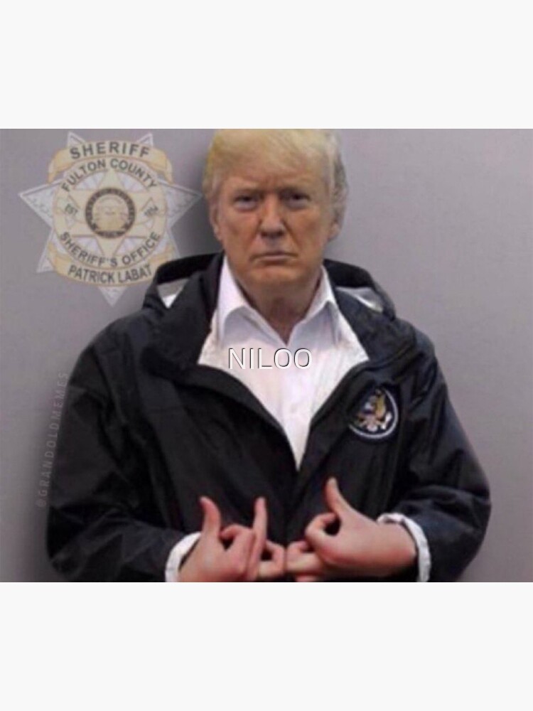 "Trump mugshot meme gang" Sticker by NIL00 | Redbubble