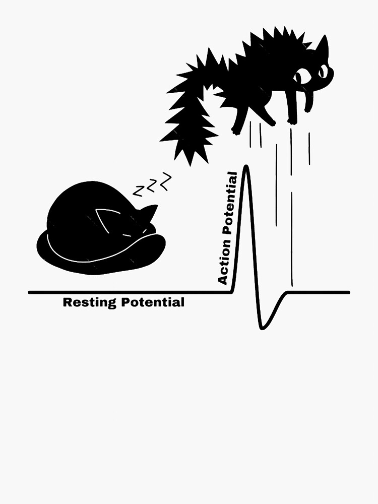 "Resting Potential to Action Potential " Sticker for Sale by ...