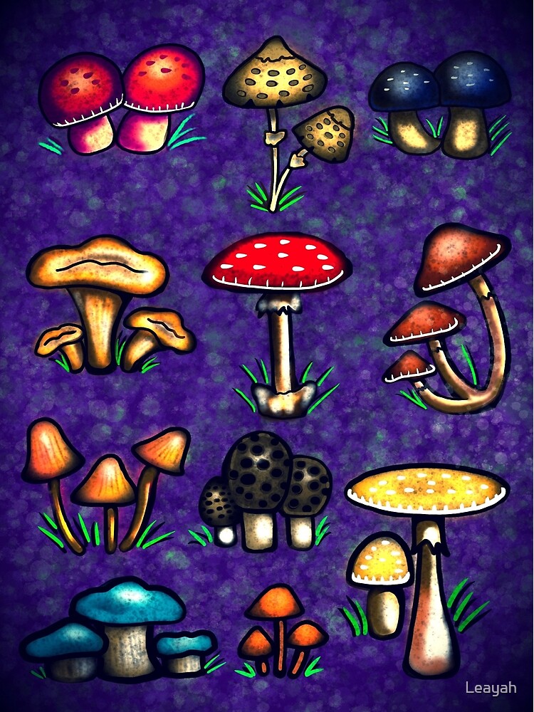 "Mushroom Chart" Poster for Sale by Leayah | Redbubble