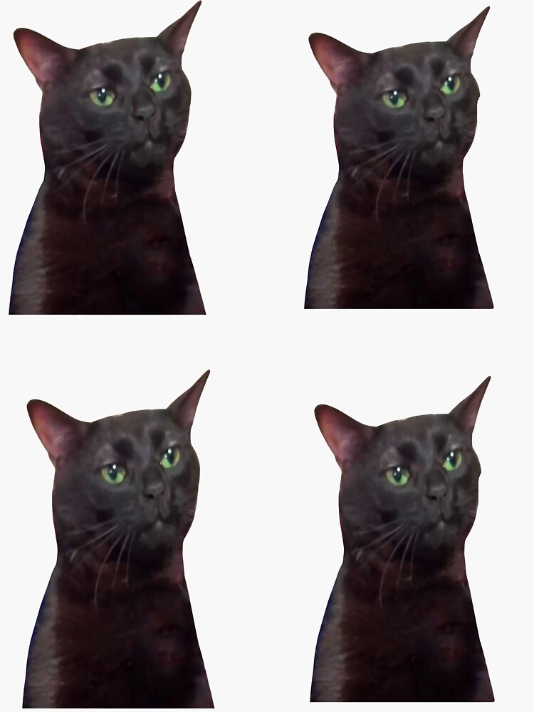 " Zoned Out Cat - cat zoned out - Zoned Out Cat Sticker pack" Sticker ...