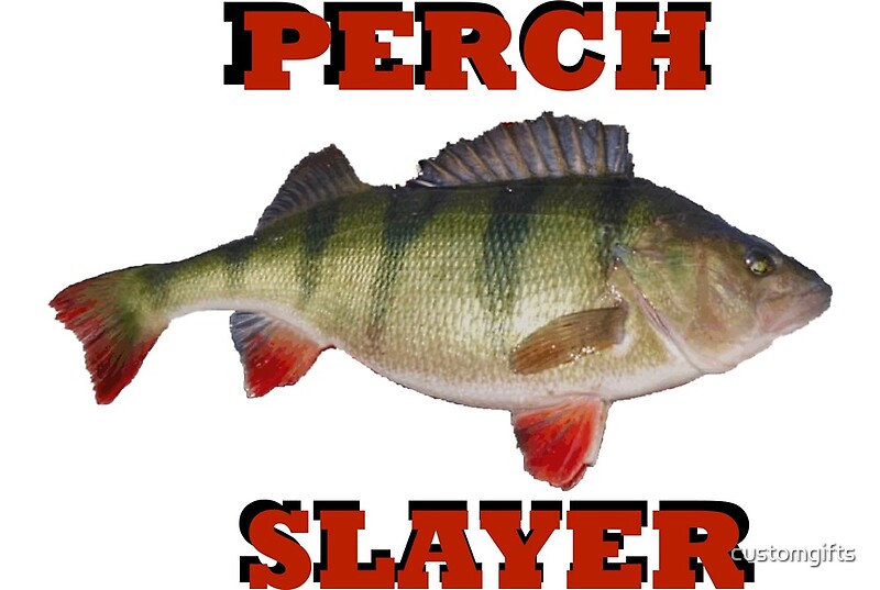 "Ice Fishing Perch Slayer" by customgifts | Redbubble