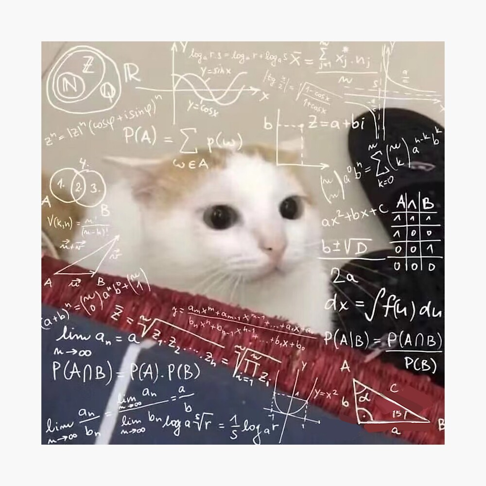 Animal Math Memes