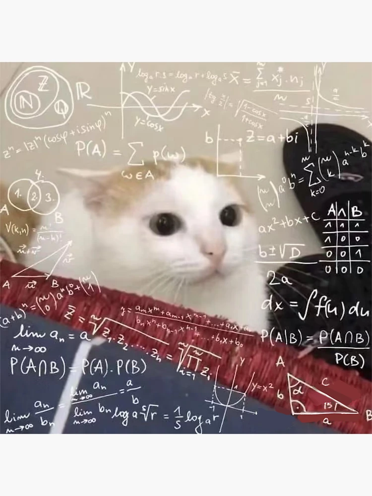 Math Cat Memes Mathcat GIFs | Tenor