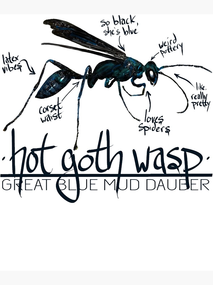 White Wasp Meme