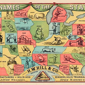 "STK501656A-A stylized map of the United States with nicknames for each ...