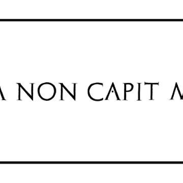 "Aquila non capit muscas" Sticker for Sale by turquoisethings | Redbubble