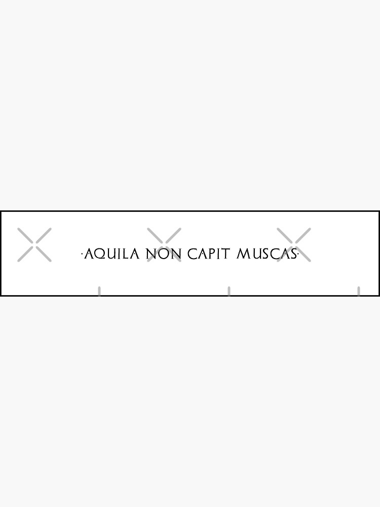 "Aquila non capit muscas" Sticker for Sale by turquoisethings | Redbubble