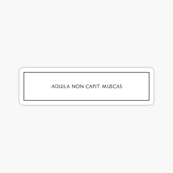 "Aquila non capit muscas" Sticker for Sale by turquoisethings | Redbubble