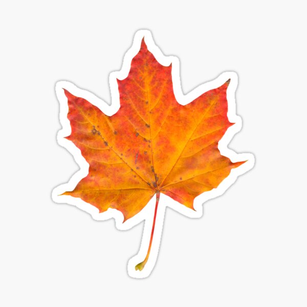 "Brown Leaf" Sticker for Sale by Vilai | Redbubble