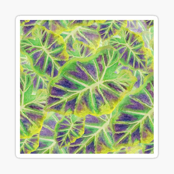 "Kaman Hon 2" Sticker for Sale by DFMHart | Redbubble