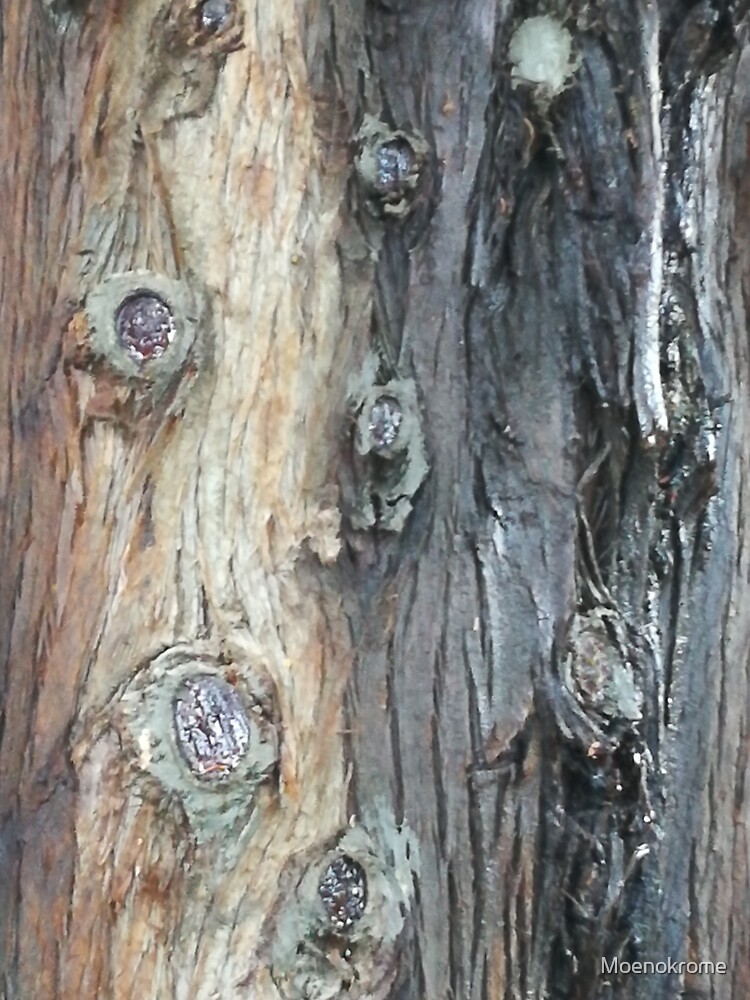 "Bark In Gradients" Sticker by Moenokrome | Redbubble