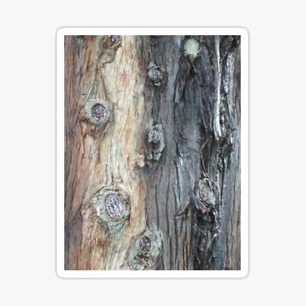 "Bark In Gradients" Sticker by Moenokrome | Redbubble