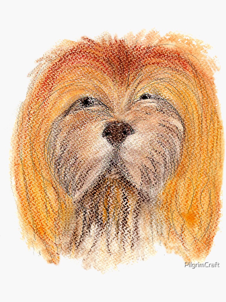 "Cute Shaggy Dog called Benji" Sticker for Sale by PilgrimCraft | Redbubble