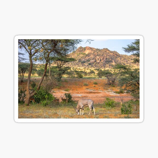 "Kenya. Samburu National Reserve. Oryx." Sticker for Sale by vadim19 ...