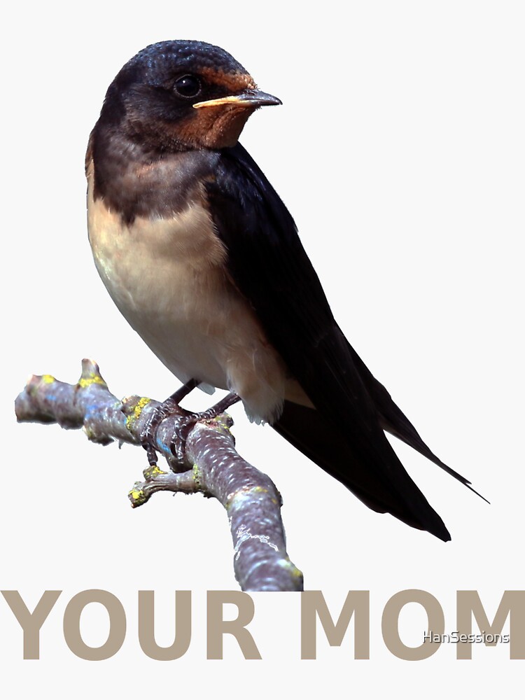 "Your Mom" Sticker for Sale by HanSessions | Redbubble