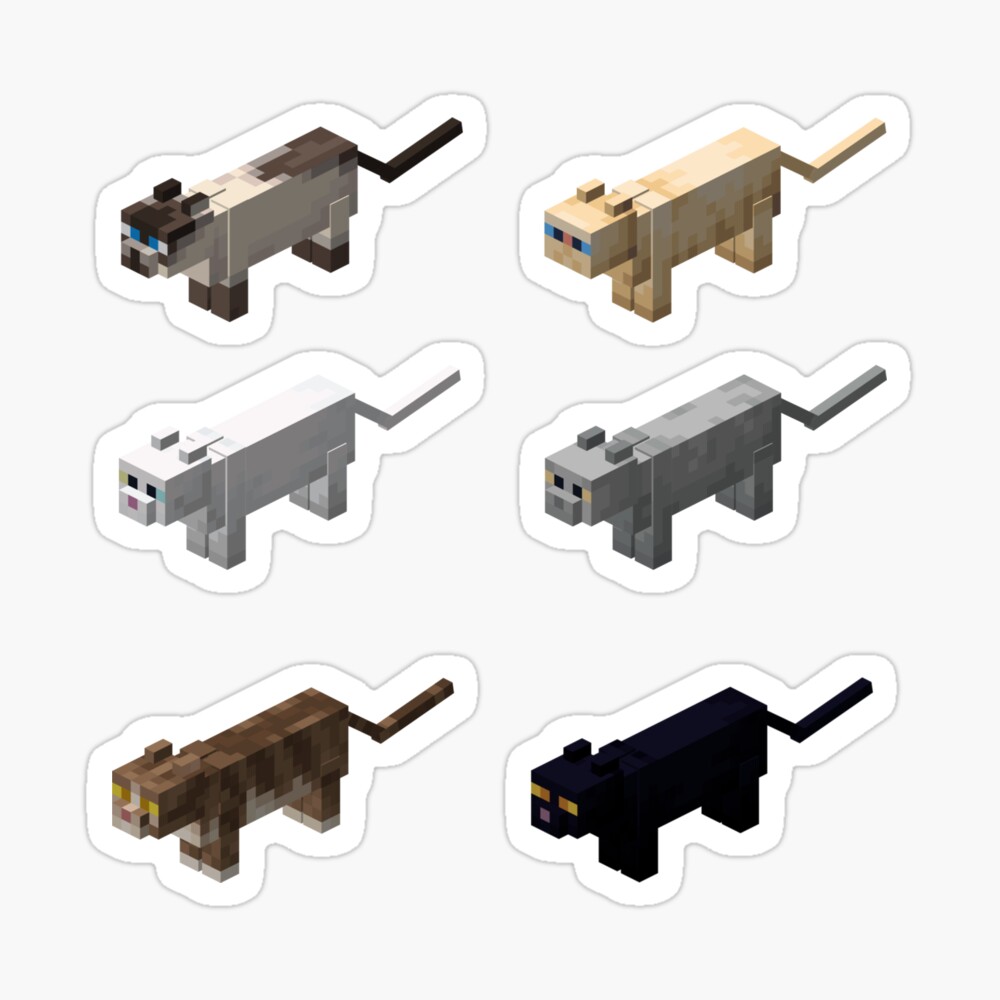 Pin Minecraft Funny Cat