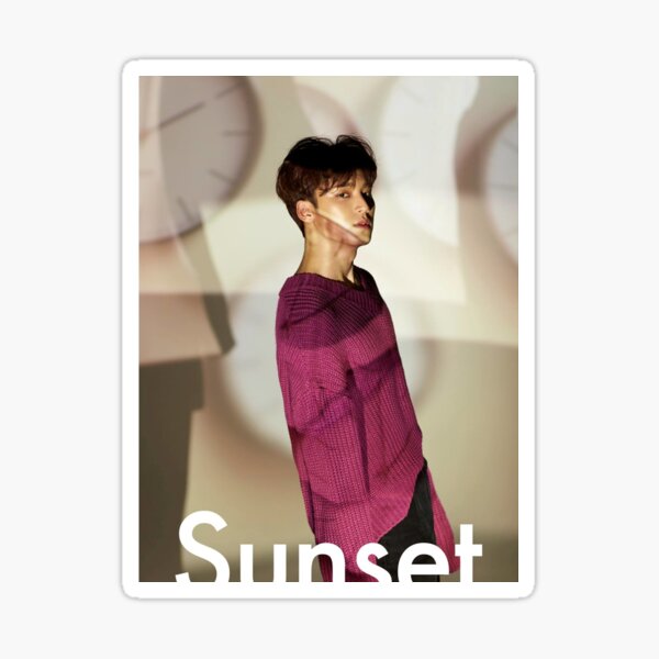 "Director's Cut Mingyu" Sticker by kalicu | Redbubble