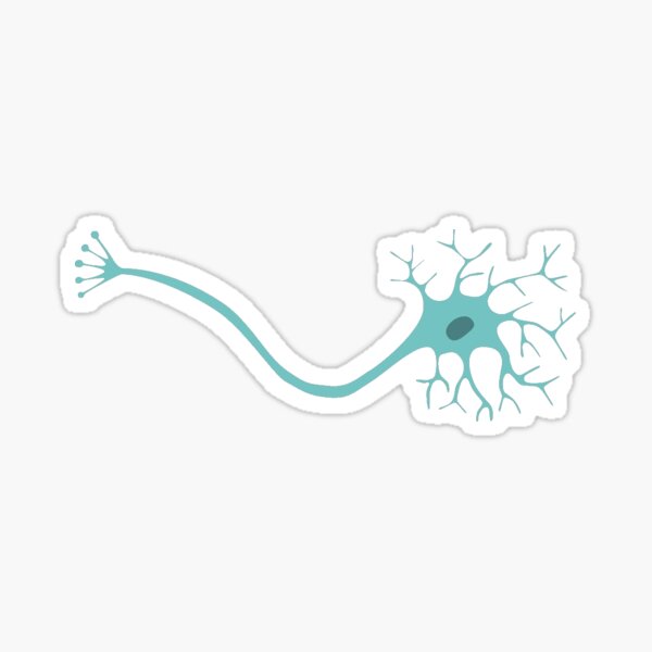 Sticker: Neuron | Redbubble