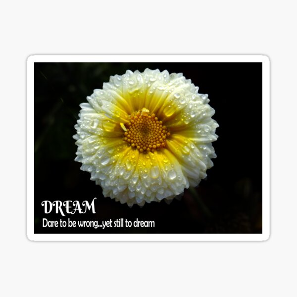 "Raindrop Flower - motivational motto - Dream" Sticker for Sale by ...