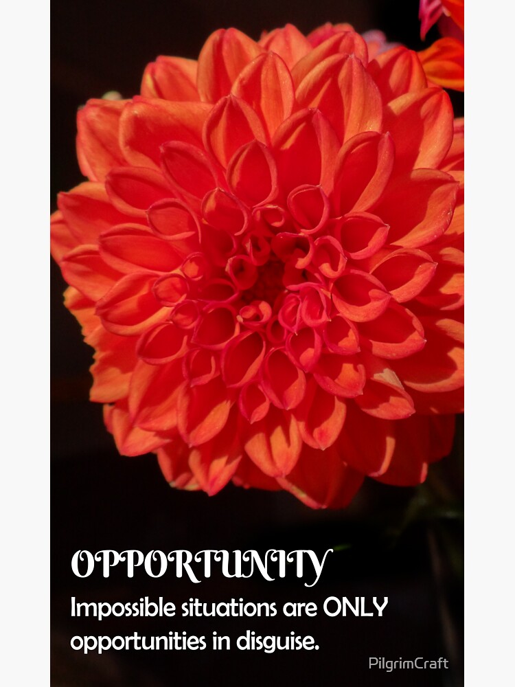 "Red Dahlia Motivational motto - Opportunity" Sticker for Sale by ...