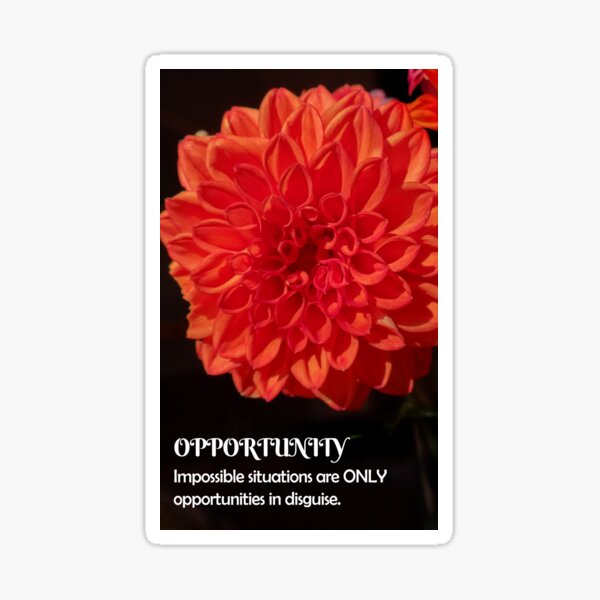 "Red Dahlia Motivational motto - Opportunity" Sticker for Sale by ...