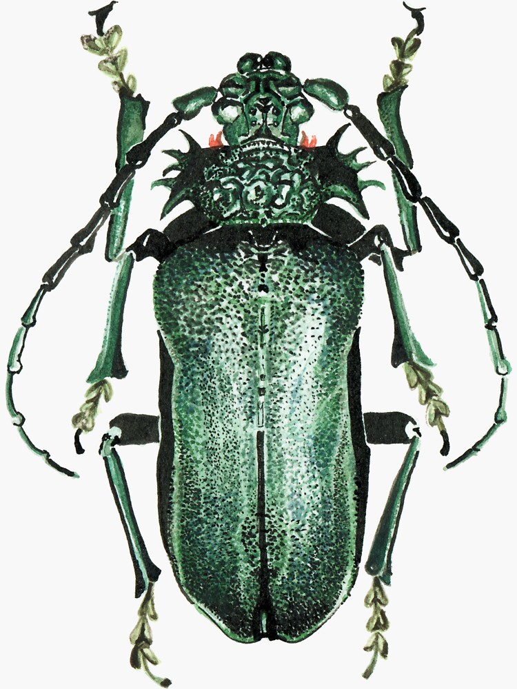 "Big Green Bug" Sticker for Sale by mazdavies | Redbubble
