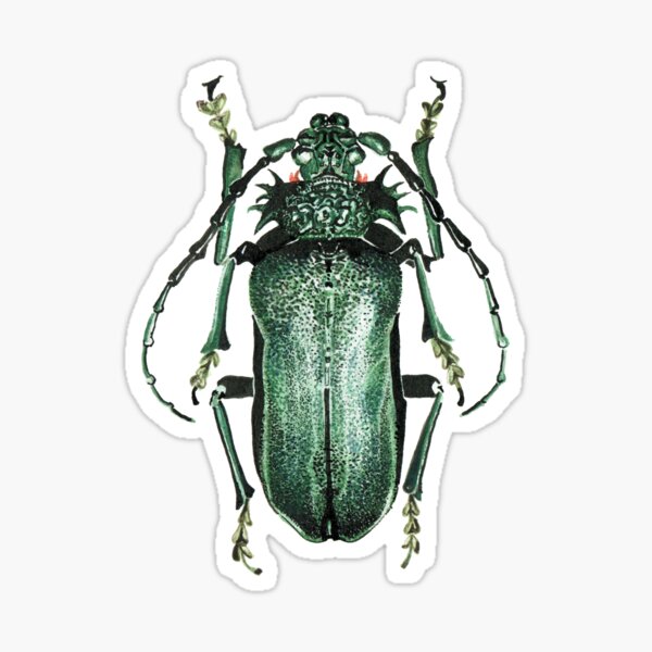 "Big Green Bug" Sticker for Sale by mazdavies | Redbubble