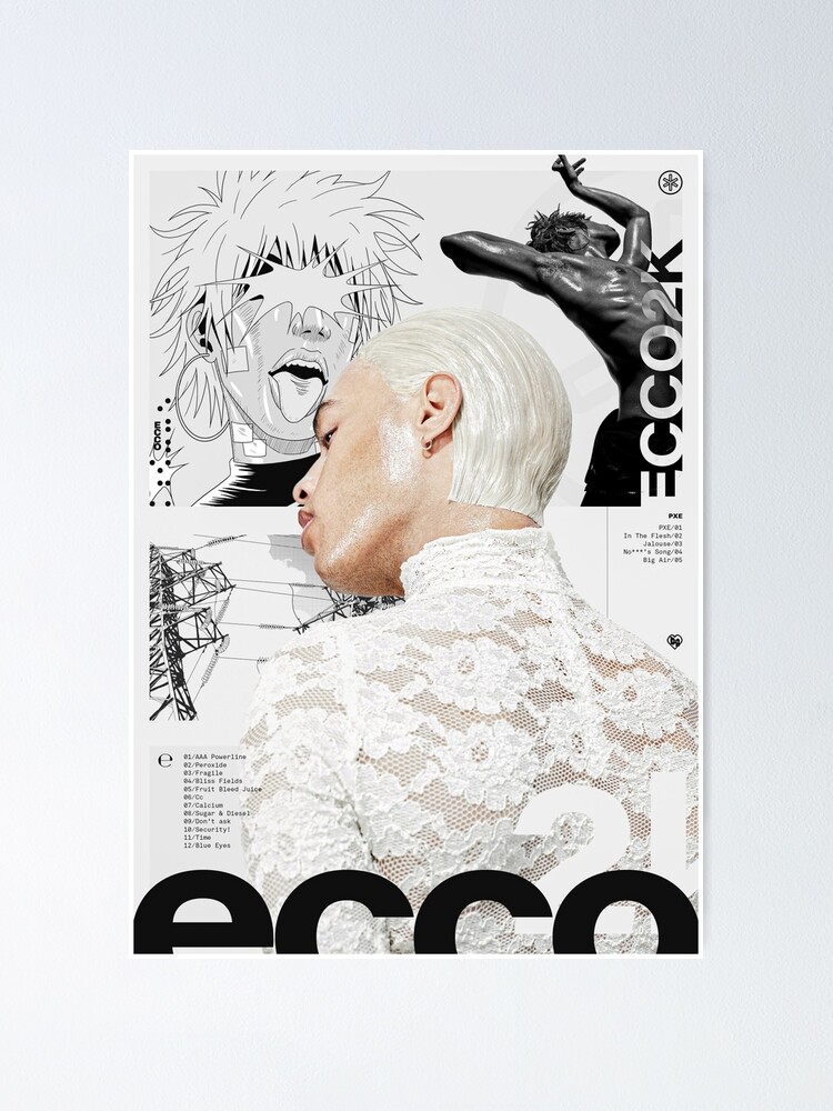 "ecco2k poster Drain Gang" Poster for Sale by Indie Merch | Redbubble