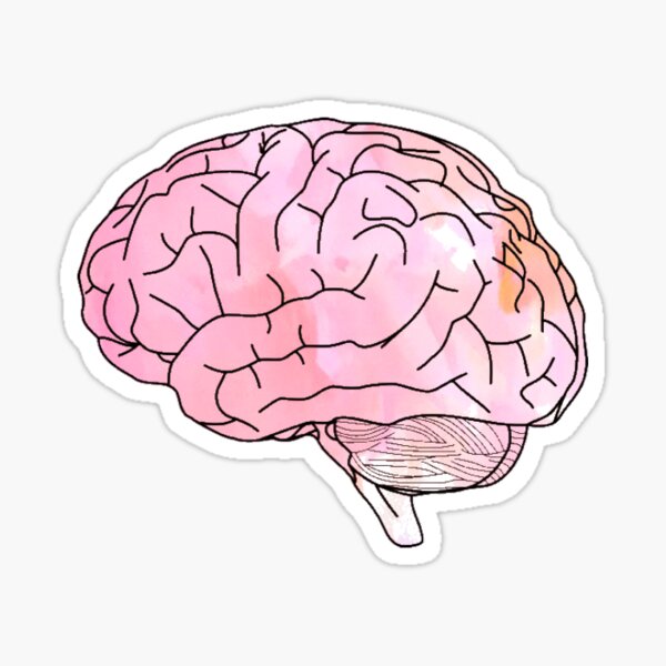 Brain Stickers | Redbubble
