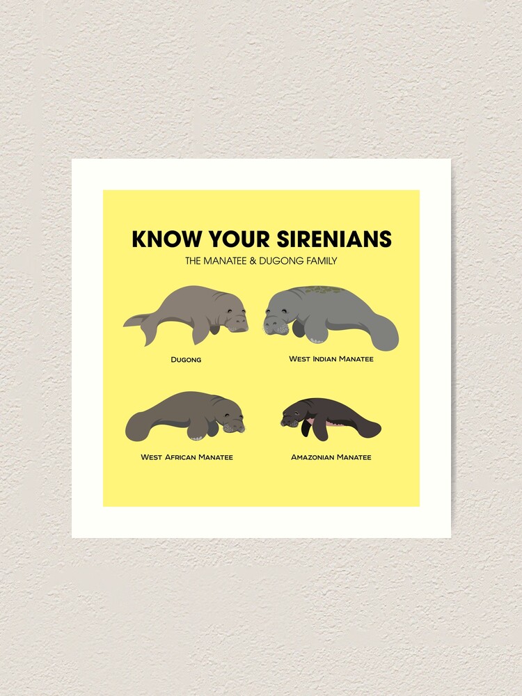 "Know Your Sirenians" Art Print by PepomintNarwhal | Redbubble
